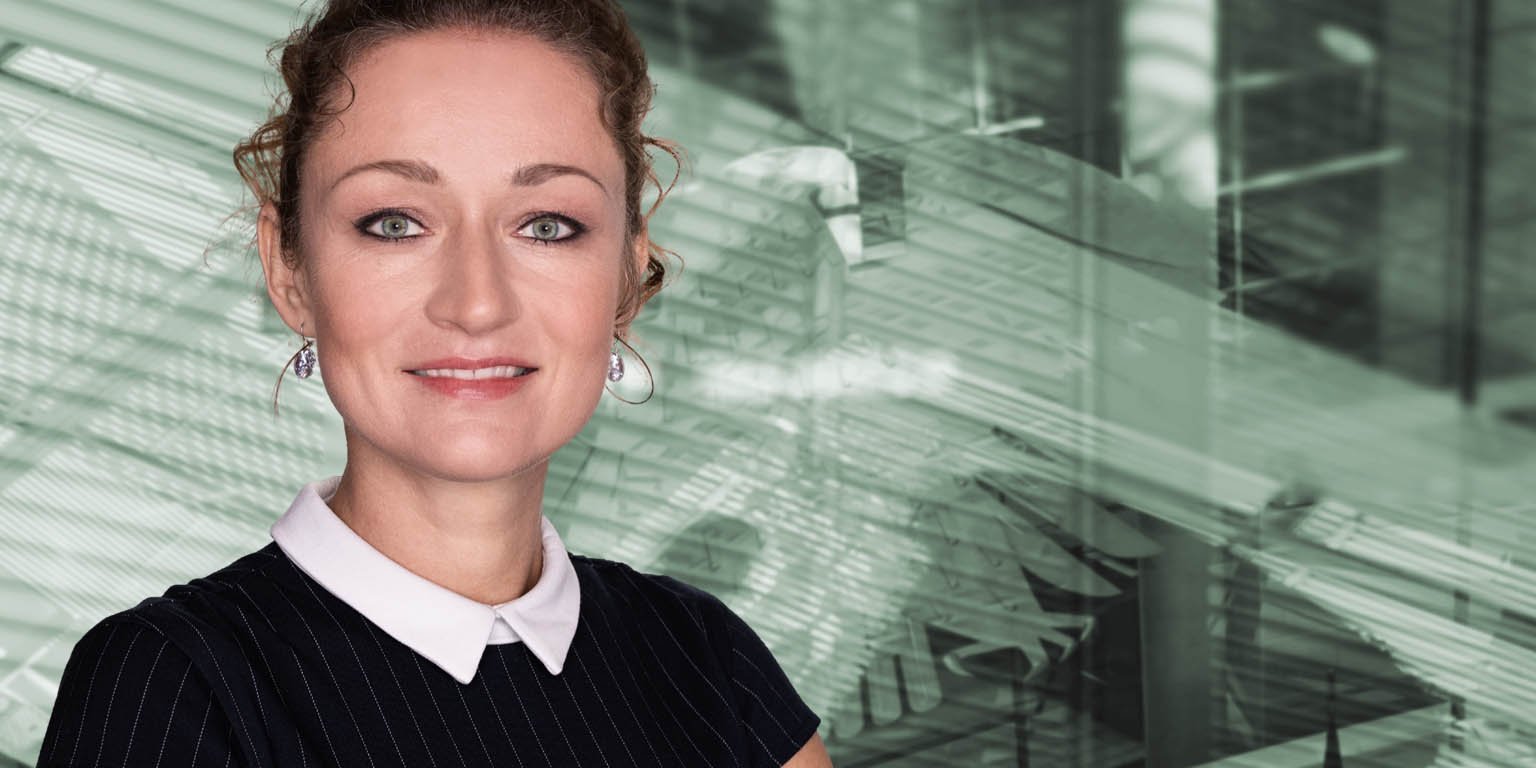 Nein zum Air-Defender-Säbelrasseln! - Fraktion Die Linke im Bundestag